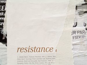 What Font Does Regency Use? (2026)